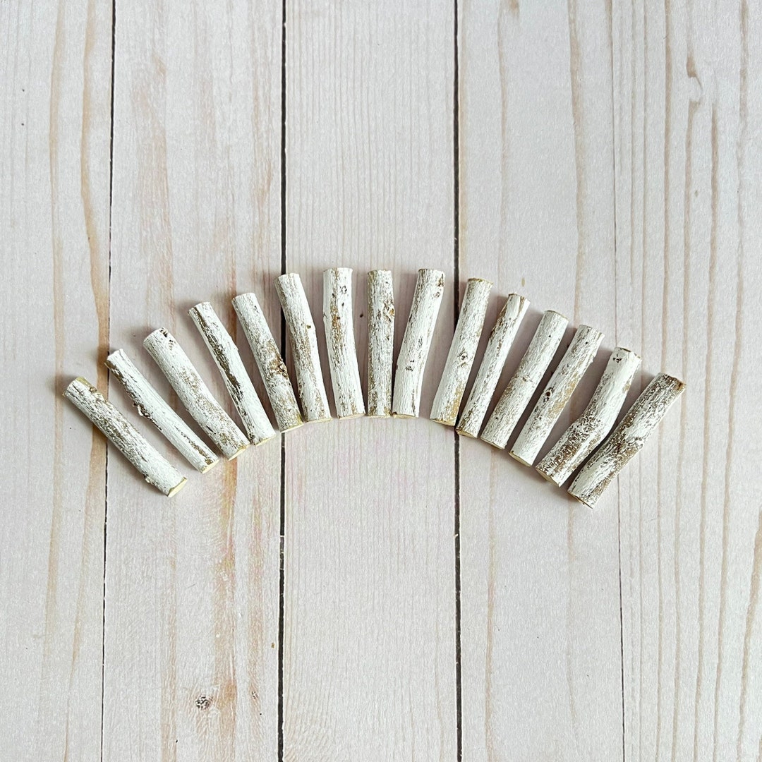 Wood Stems for Craft Projects, 15 Short Natural Wood Sticks, 1 1/2”- 3 ...
