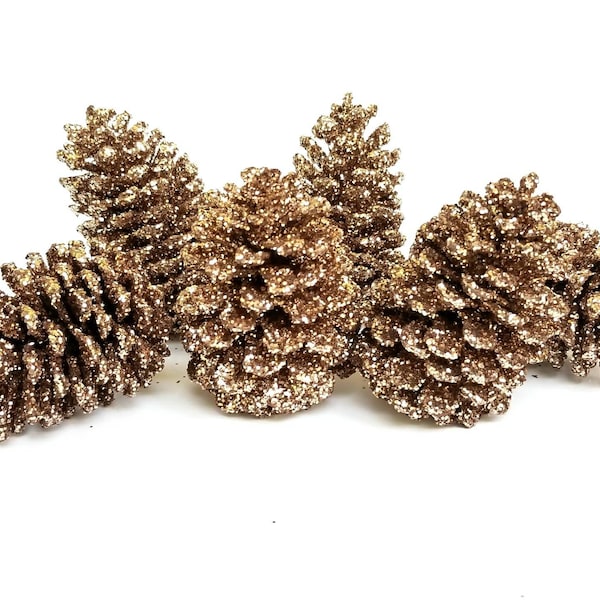 Extra Large Pine Cones - Etsy