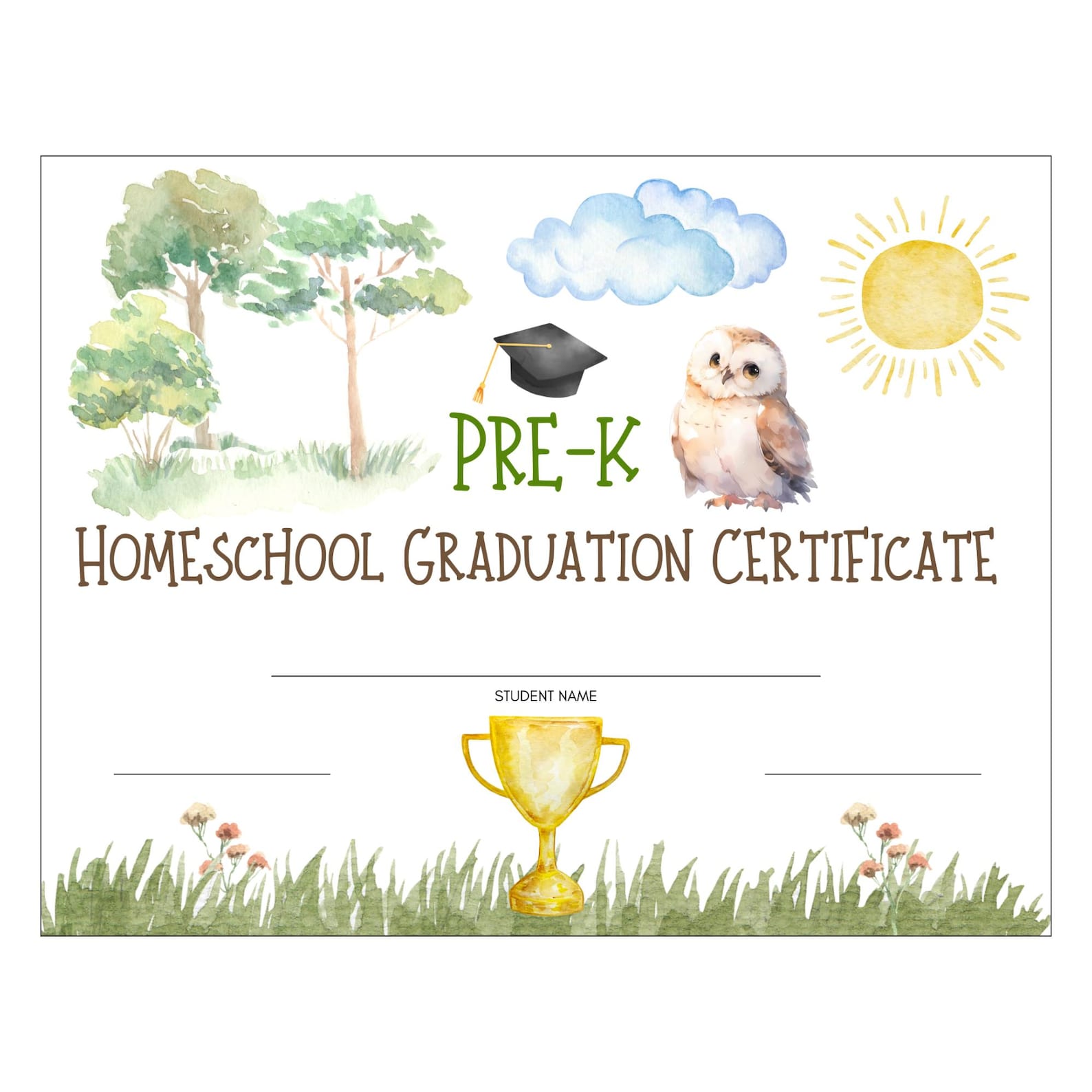 Homeschool Pre-k Graduation Diploma Certificate Watercolor Owl Scene ...