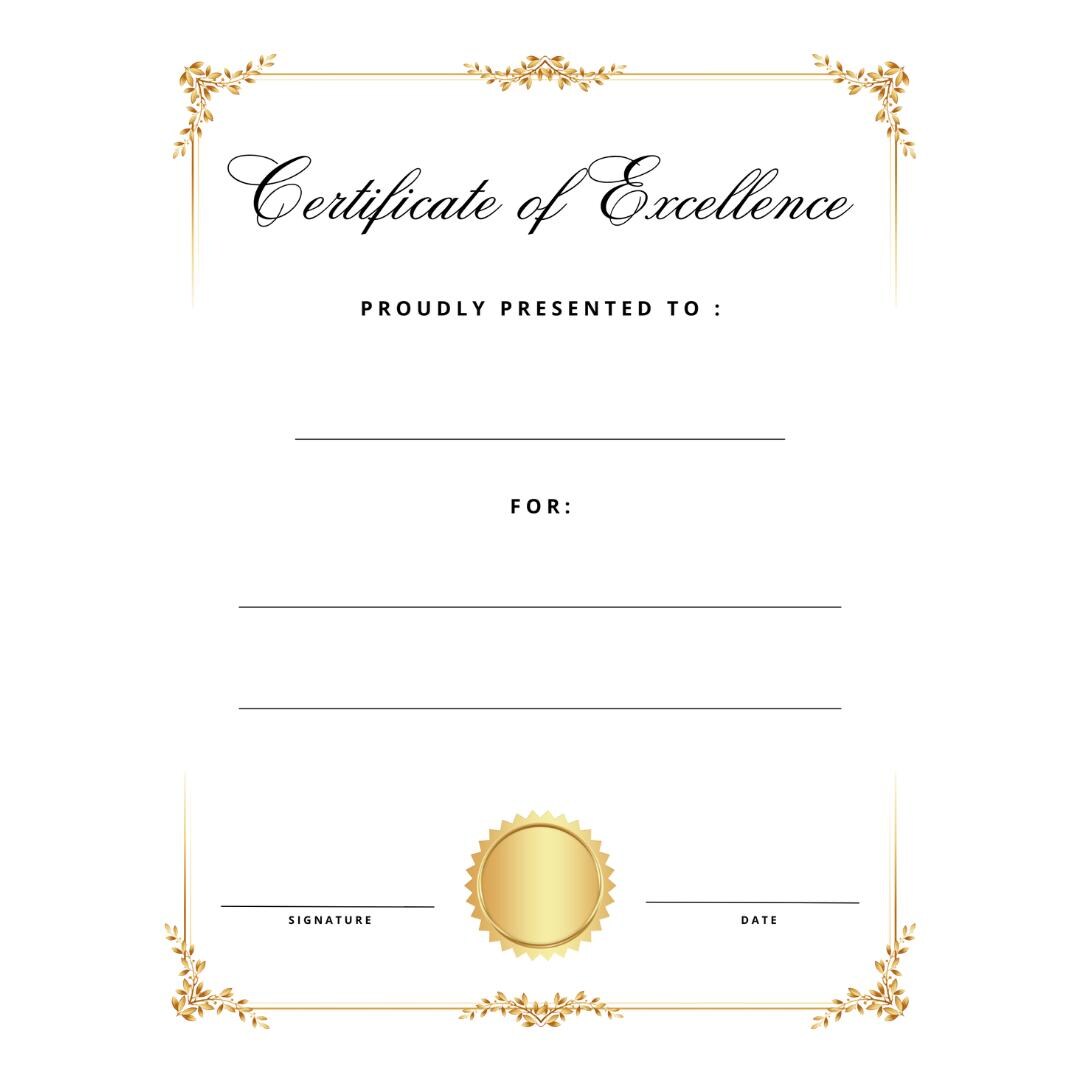 Excellence Certificate Achievement Award Any Age Job Career Grade Level ...