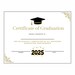 High School Senior Diploma Certificate of Graduation Class of 2025 ...