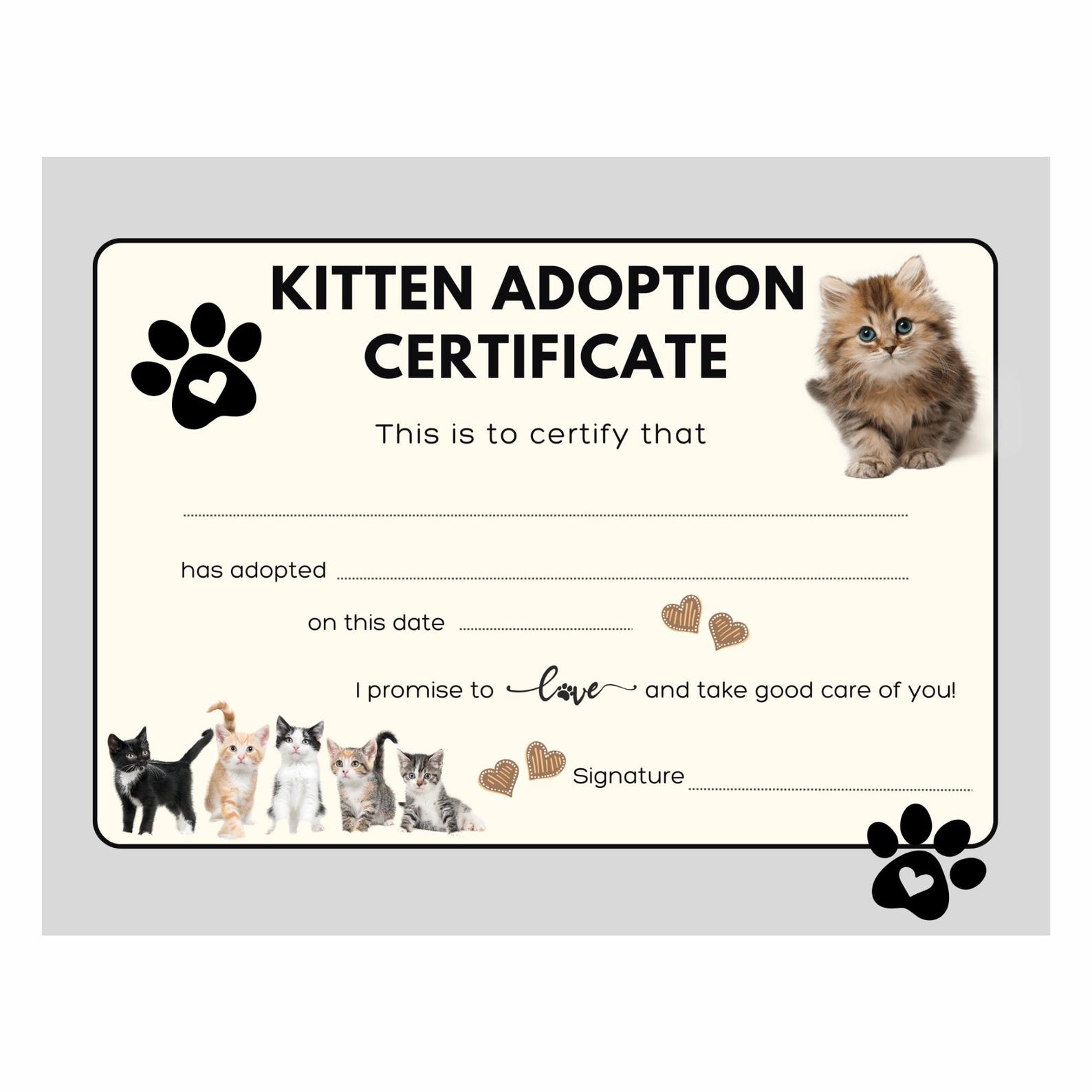 Kitten Adoption Certificate Instant Printable for Real or Pretend ...