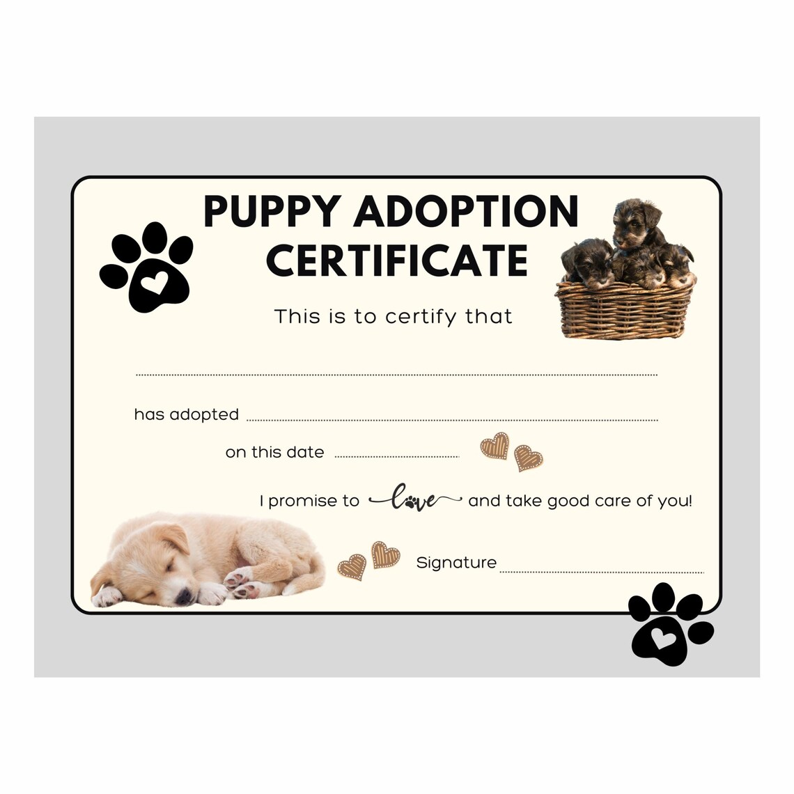 Puppy Adoption Certificate Instant Printable for Real or Pretend Dog ...