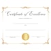 Excellence Certificate Achievement Award Any Age Job Career Grade Level ...