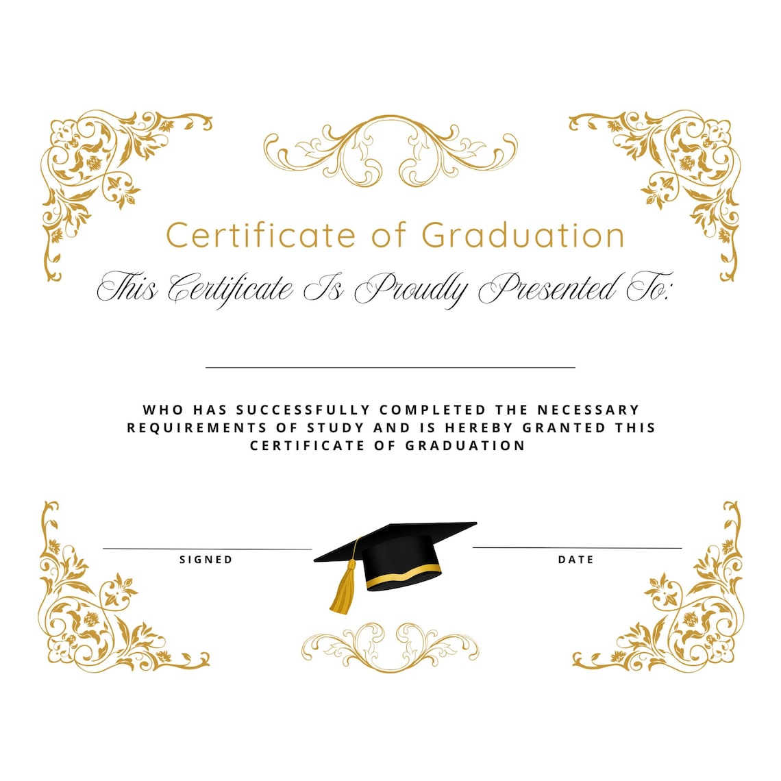 Graduation Diploma Certificate School Promotion Any Student Grade Level ...