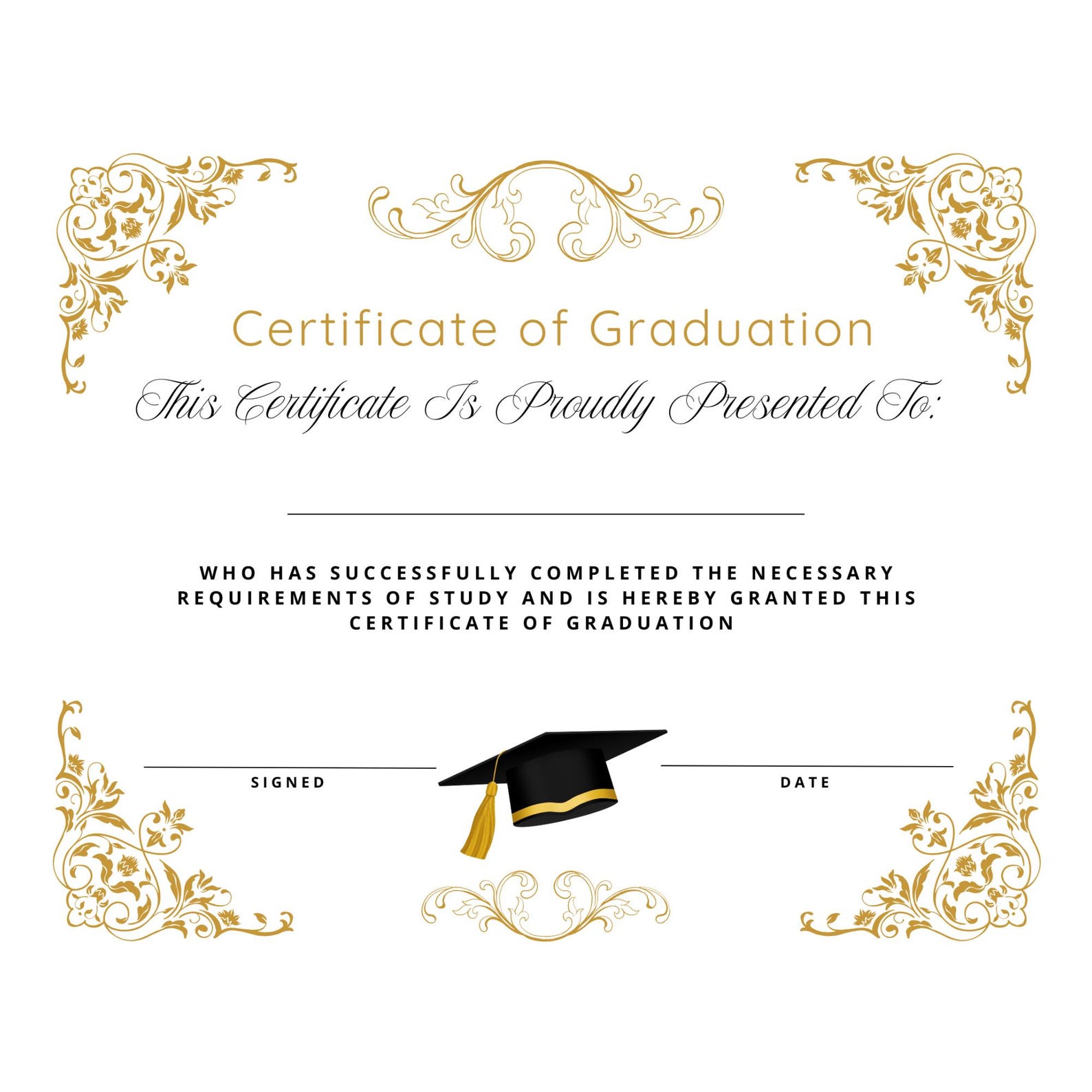 Graduation Diploma Certificate School Promotion Any Student Grade Level ...