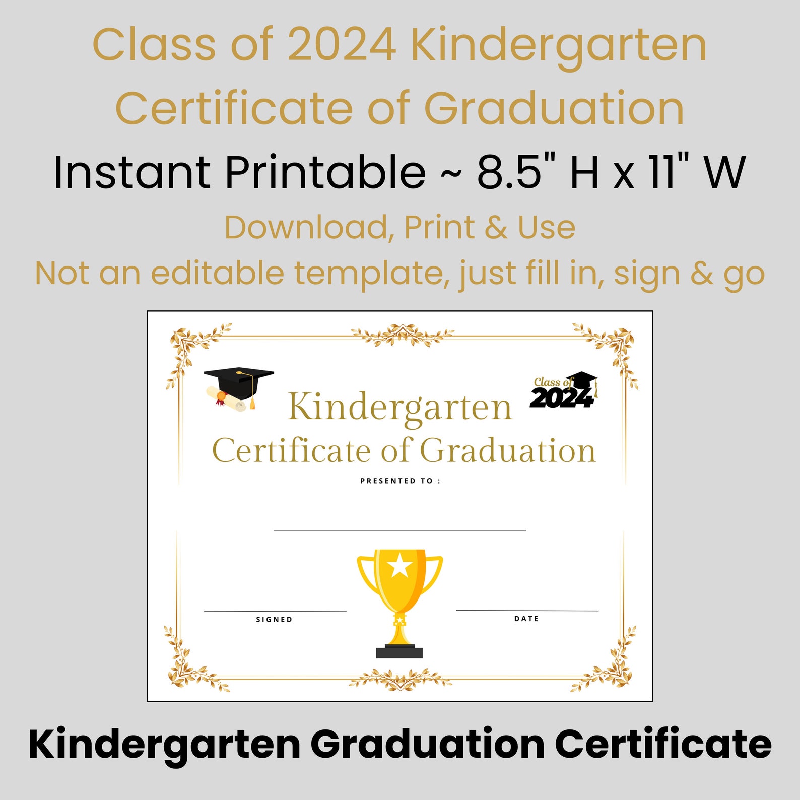 Kindergarten Graduation Diploma Certificate of Completion Instant ...