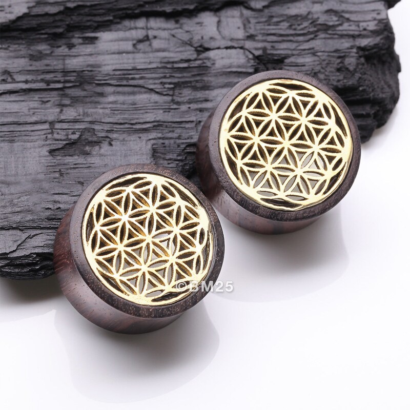 BM25Plugs - Etsy