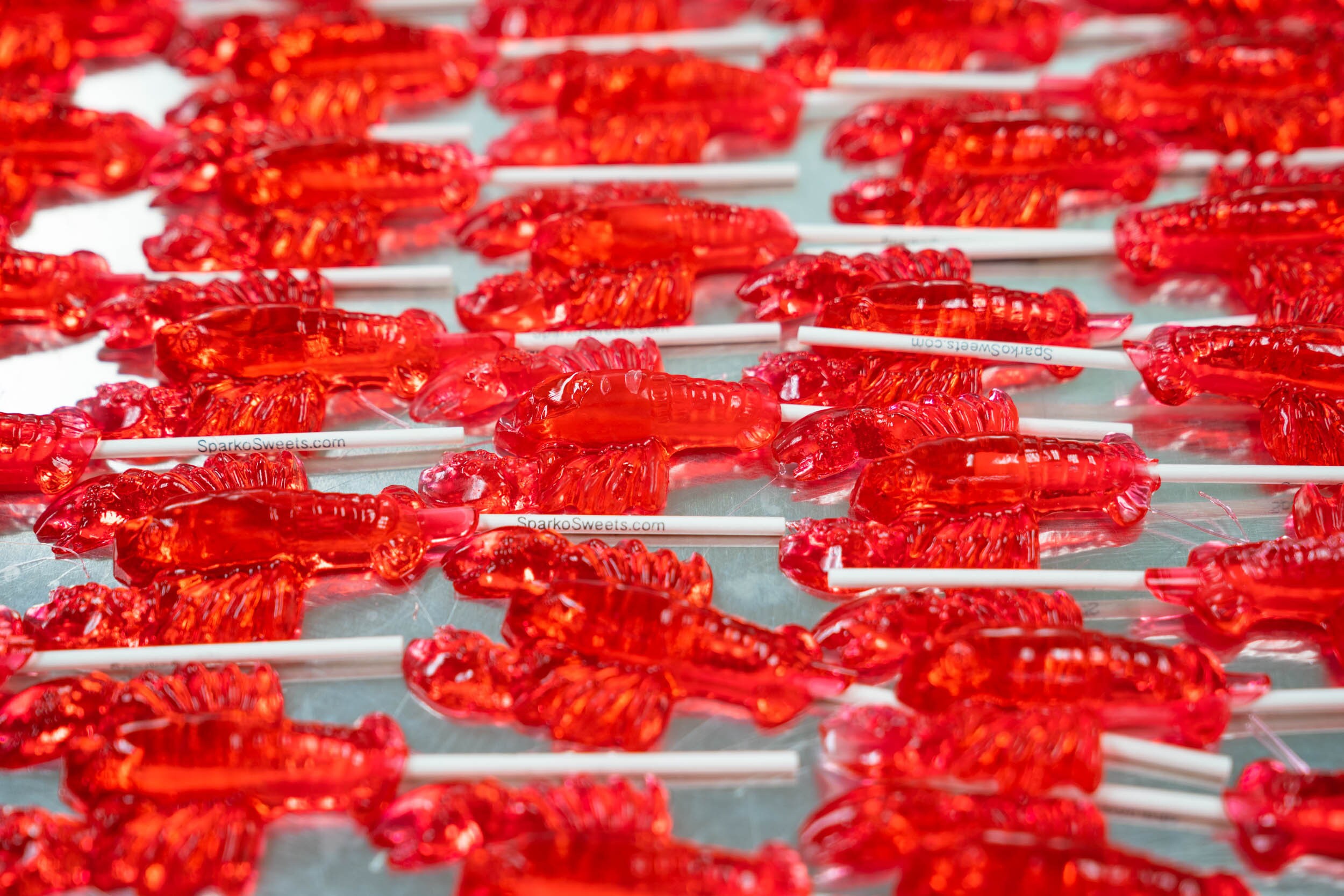 Watermelon Lobster Lollipops 3.5 Inch Tall Big Lobster Candy | Etsy