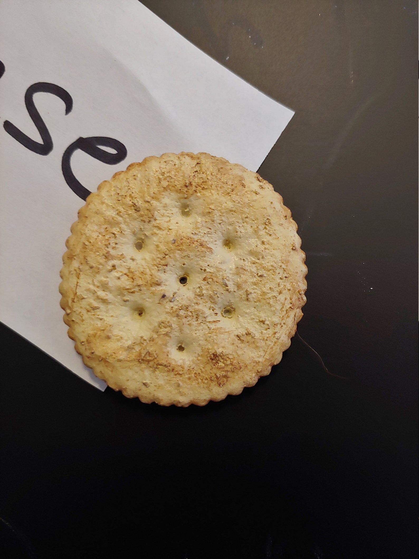 Round Ritz Cracker MAGNET Cheese Crunchy Food Kitchen (1 Magnet) - Etsy
