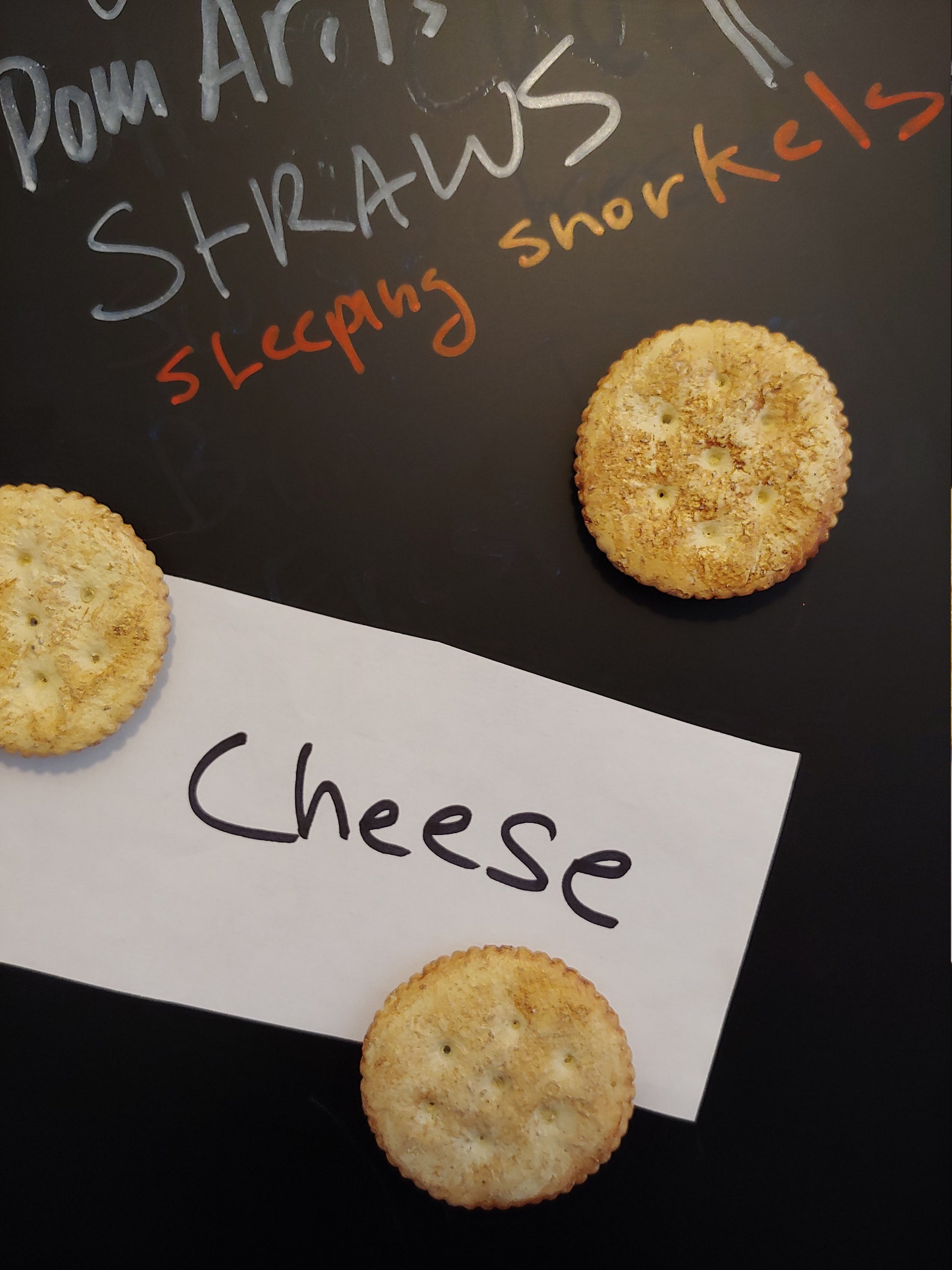 Round Ritz Cracker MAGNET Cheese Crunchy Food Kitchen (1 Magnet) - Etsy