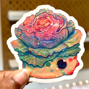 Ornamental Cabbage Frog Sticker | Vinyl Waterproof Sticker | Cute ...