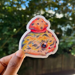 George Frogs Sticker Set | Vinyl Waterproof Sticker | Cute Frog Sticker ...