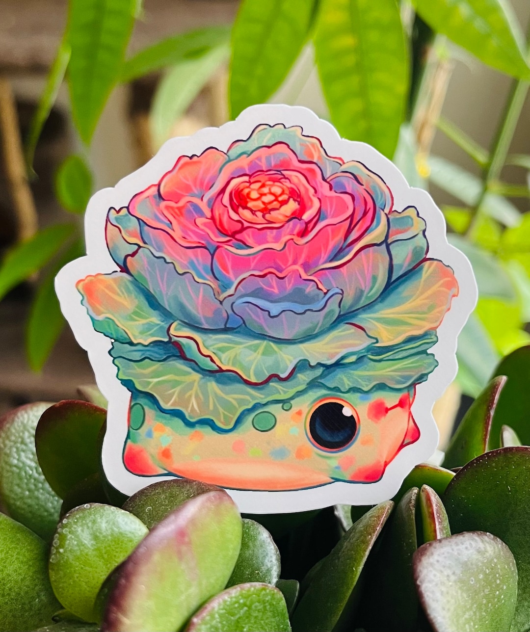 Ornamental Cabbage Frog Sticker | Vinyl Waterproof Sticker | Cute ...
