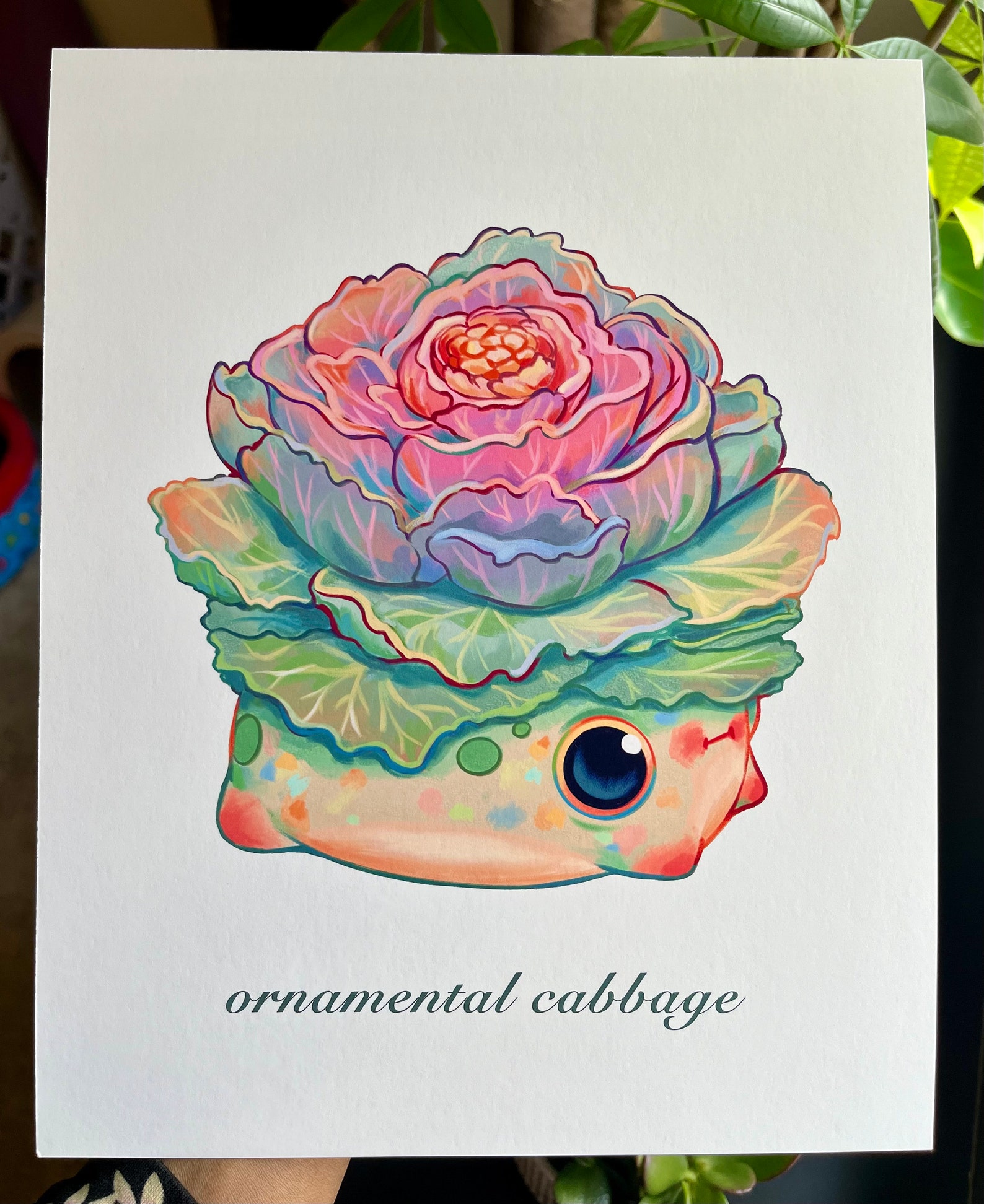 Ornamental Cabbage Frog | Art Print | Original Wall Hanging ...