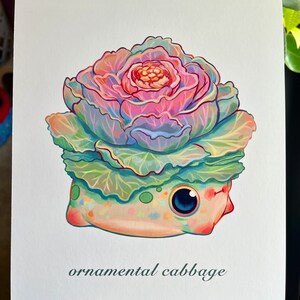 Ornamental Cabbage Frog | Art Print | Original Wall Hanging ...
