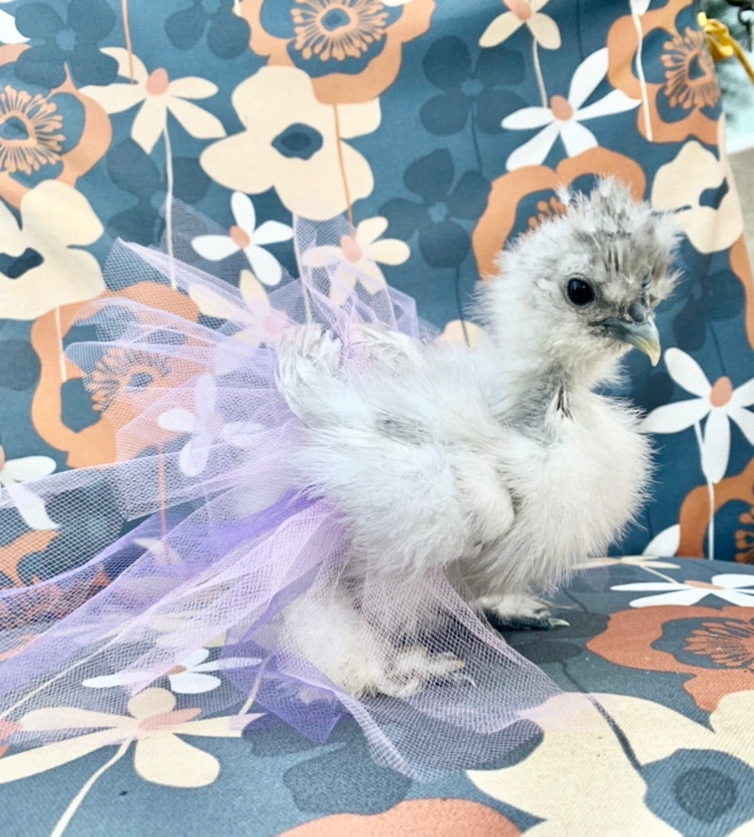 Chicken/bird Tutus multiple Colors/sizes - Etsy