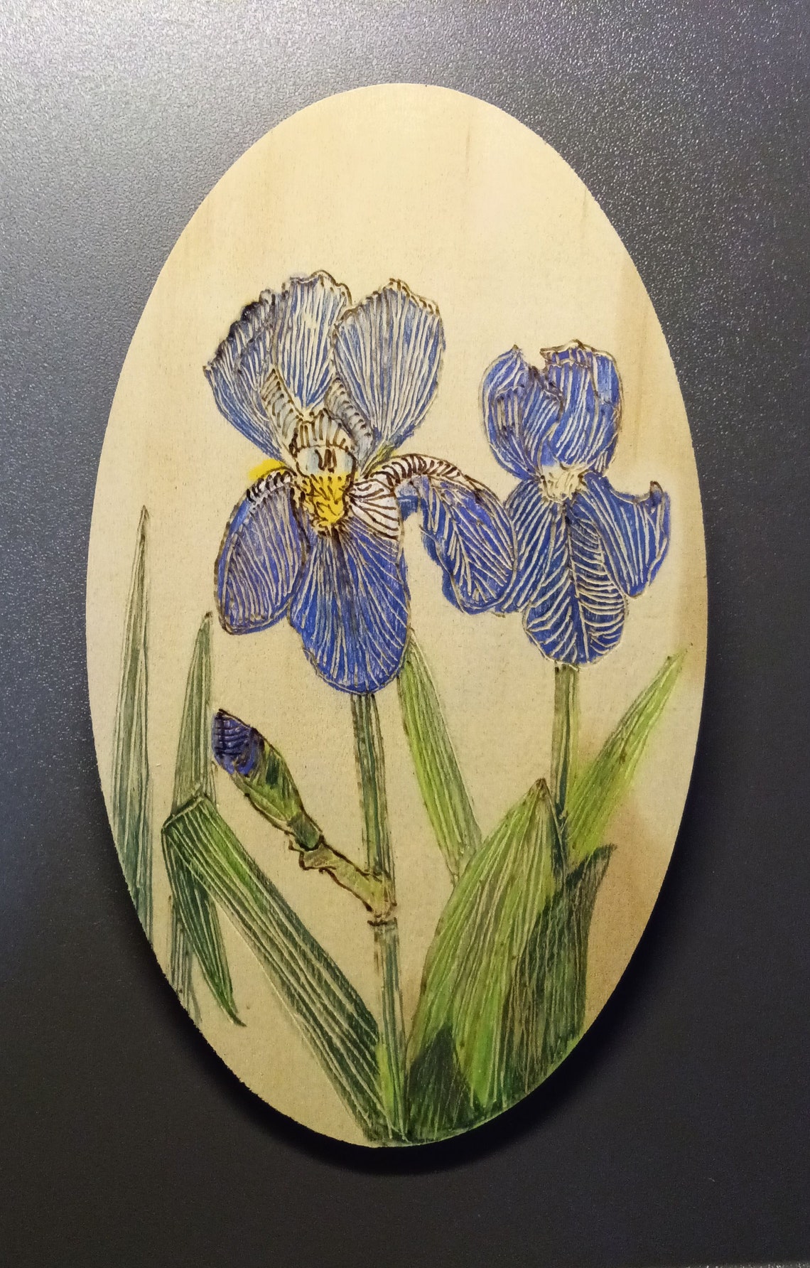 Iris Oval - Etsy