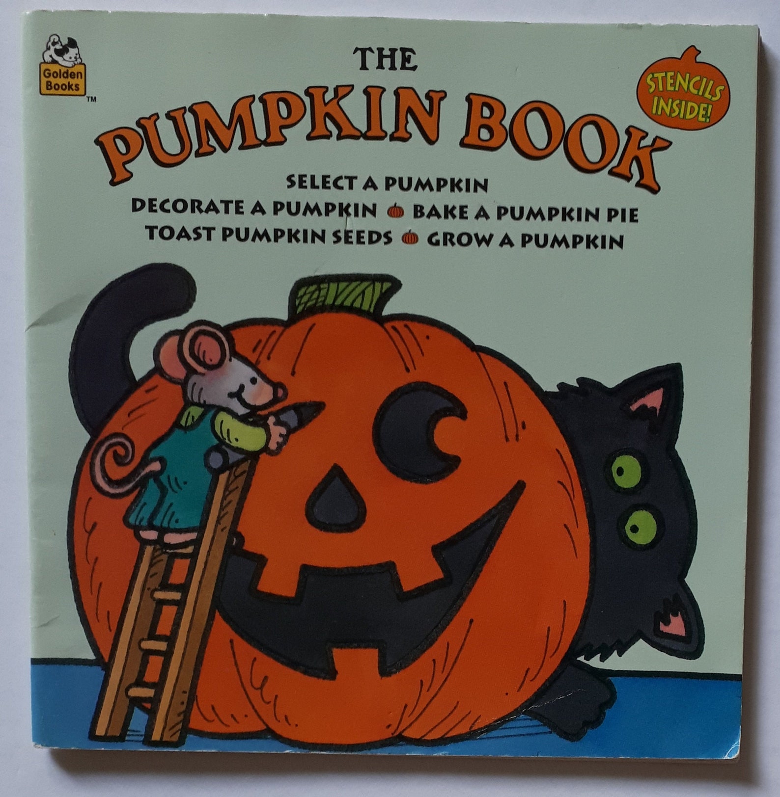 The Pumpkin Book softcover Golden Book with Jack | Etsy