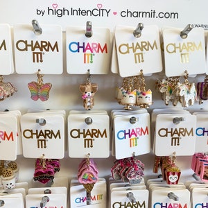 Charm It! Charm: Custom Bracelet & Necklace Accessory - Etsy