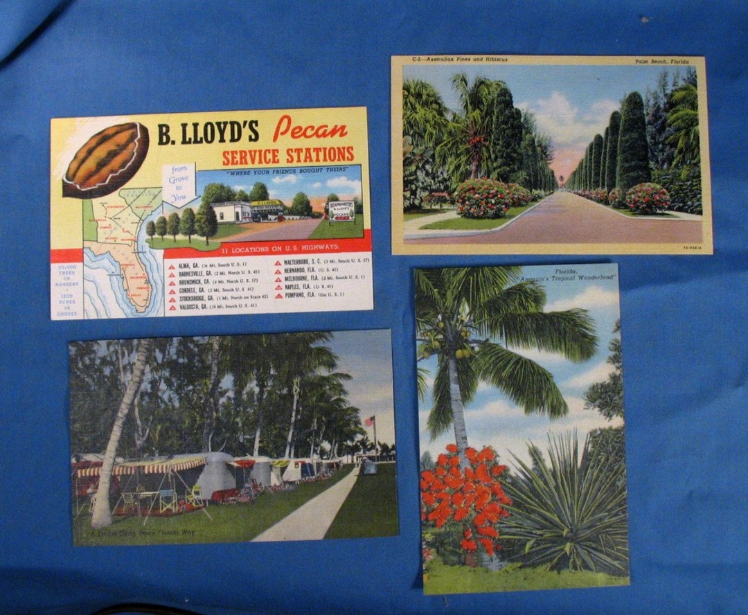 Vintage Linen Postcards Set of Four - Florida - Etsy