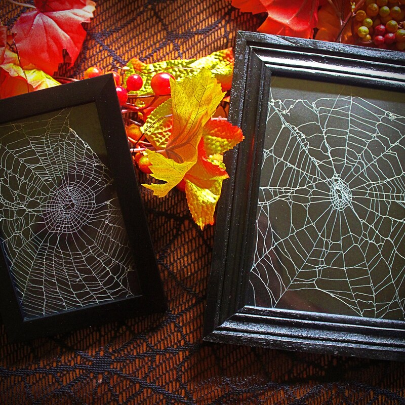 Framed Spider Web - Etsy