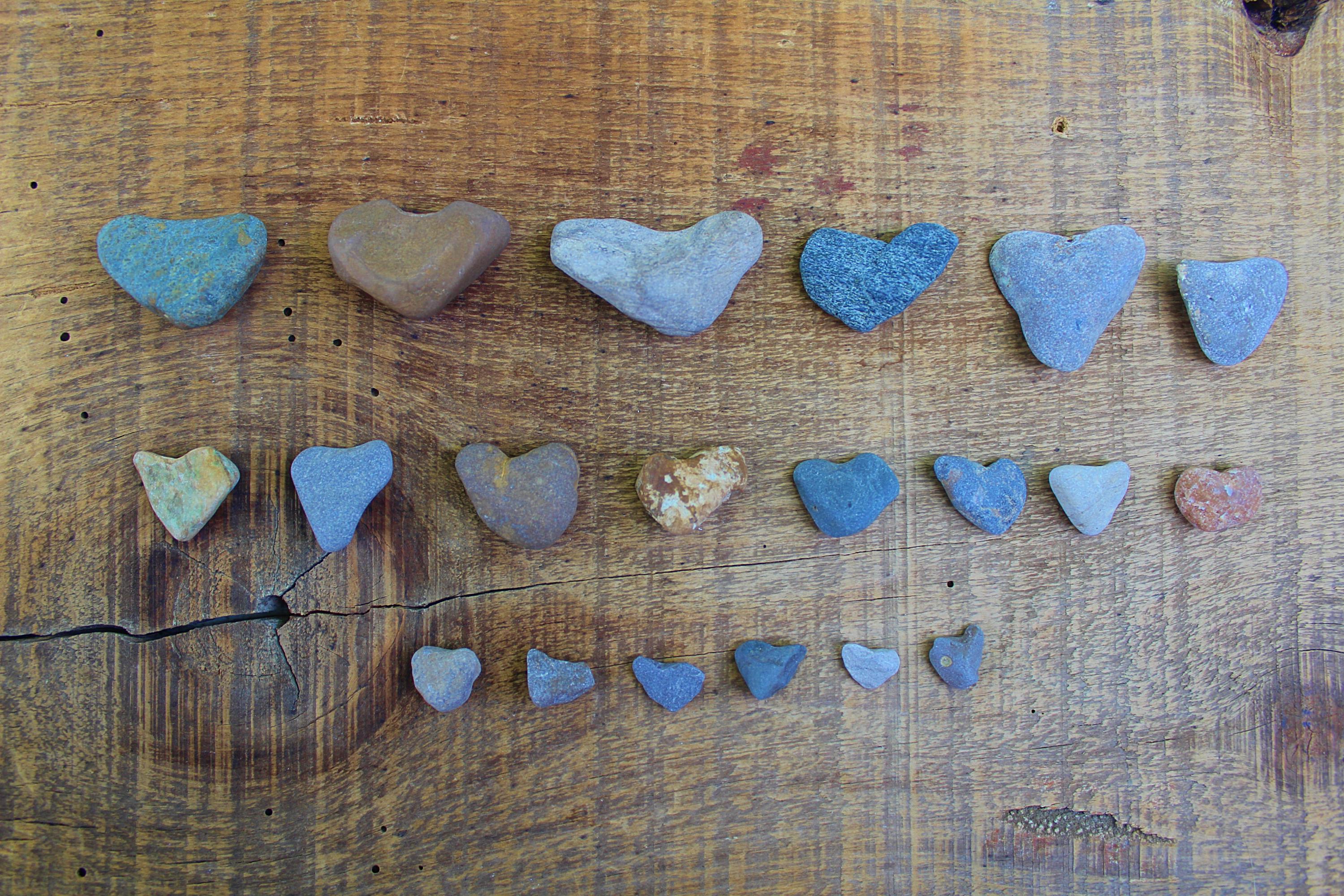 20 Pcs Bulk Natural Heart-shaped Rocks From Lake Erie - Etsy