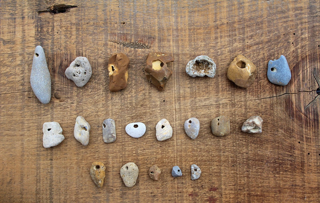 20 Pcs Bulk Natural Hag Stones Lake Erie Fairy Stones Witch Stones Hex ...