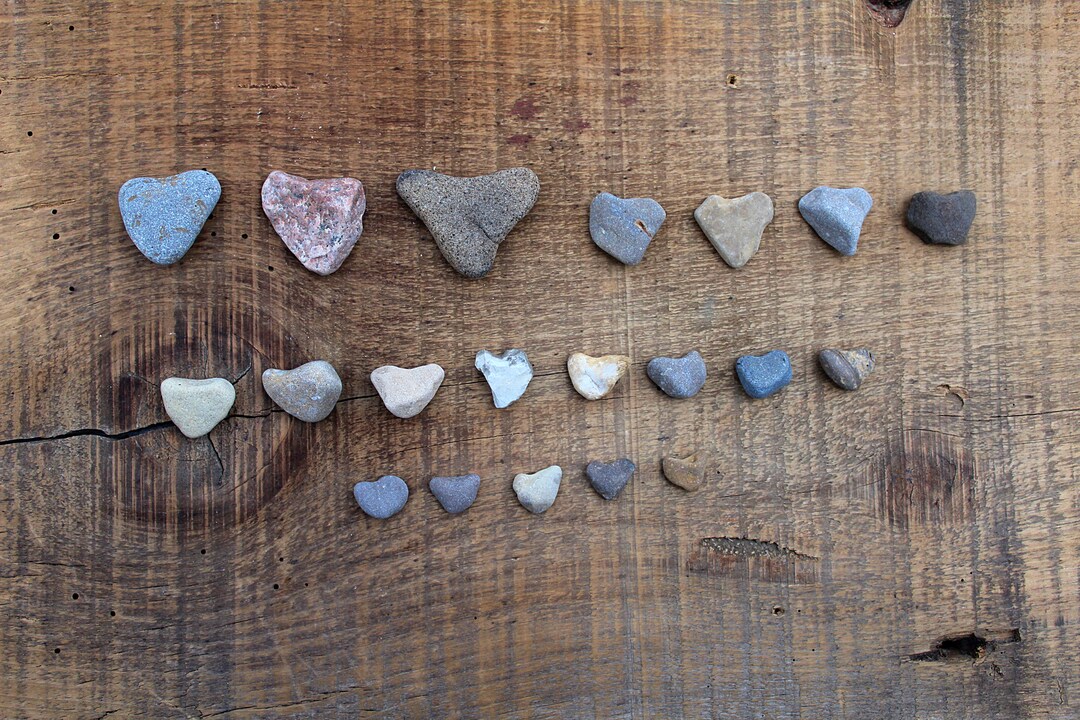 20 Pcs Bulk Natural Heart-shaped Rocks From Lake Erie - Etsy