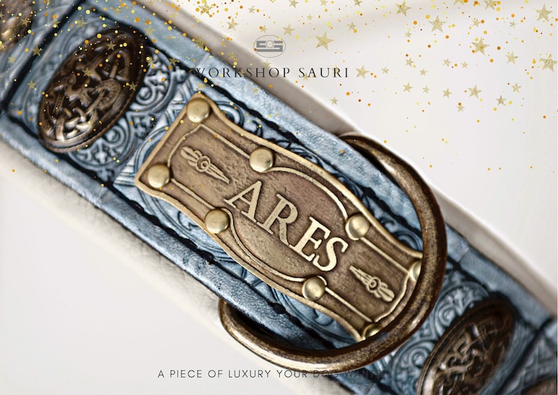 Blue Leather Dog Collar VALKYRIE Shield Maiden Collar Brass - Etsy