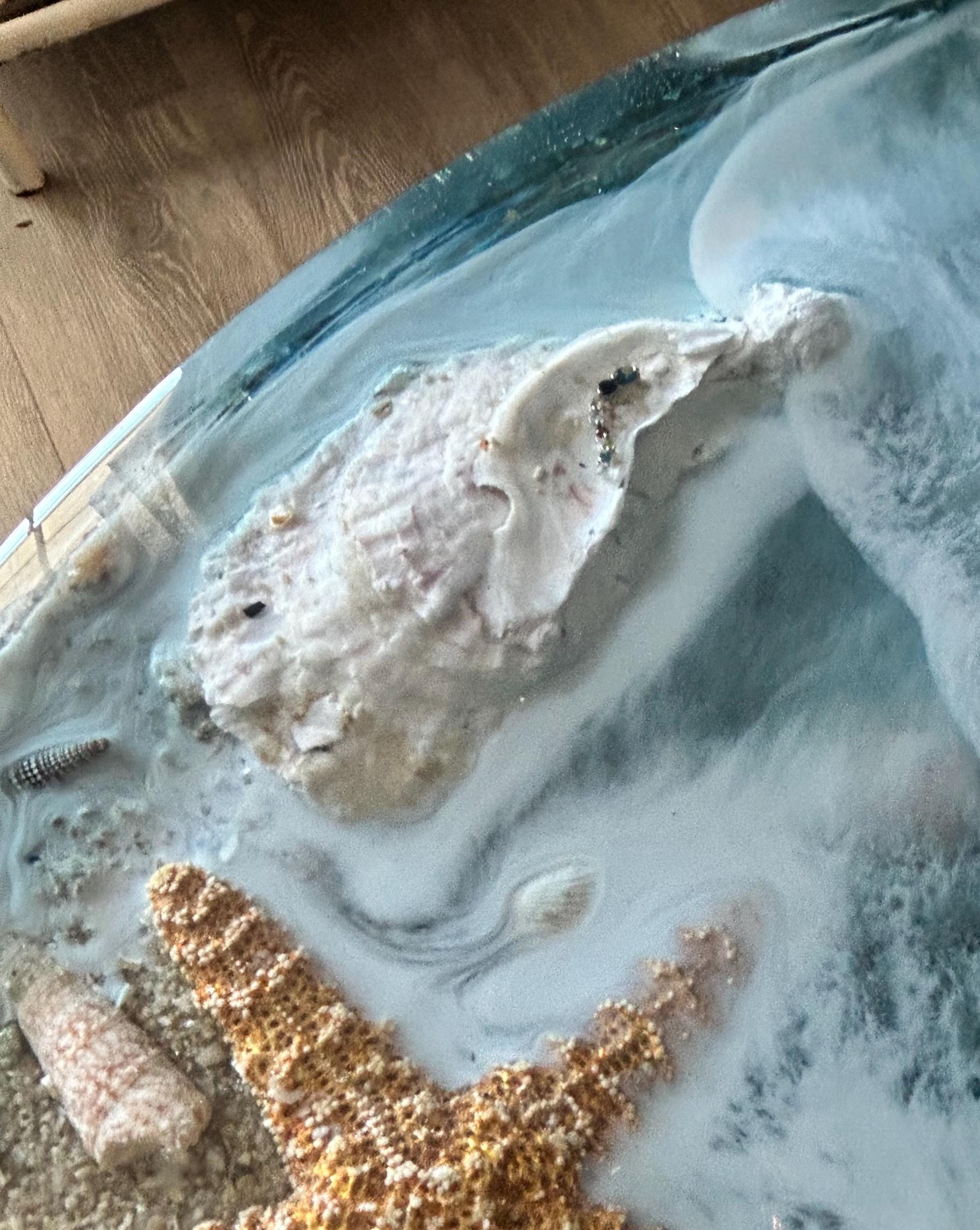 14"-20” Seashore Table - Etsy