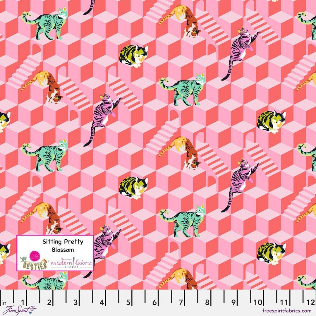 Tula Pink Besties Sitting Pretty PWTP217.BLOSSOM Half Yard - Etsy
