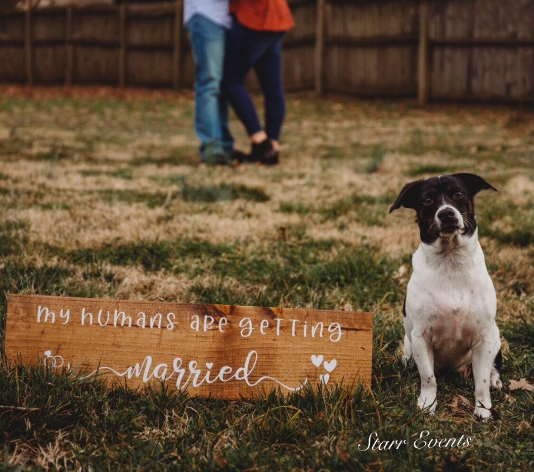 My Humans Are Getting Married Pet Wedding Signs. Dog Save the Date Pet ...