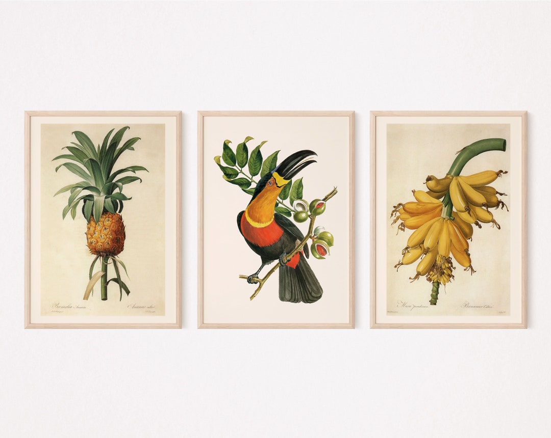 TROPICAL ROOM DECOR, Antique Beach House Wall Art, Jungle Kids Room ...