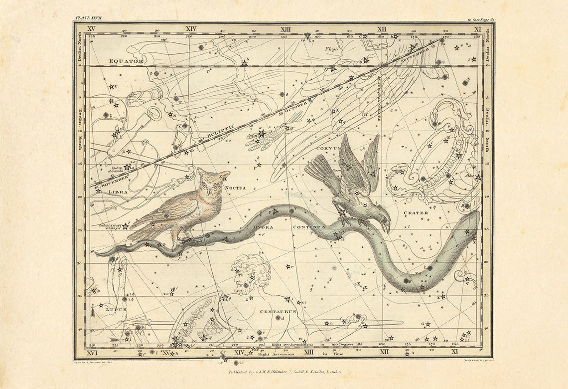 HYDRA STAR MAP Print Zodiac Sign Print Professional | Etsy