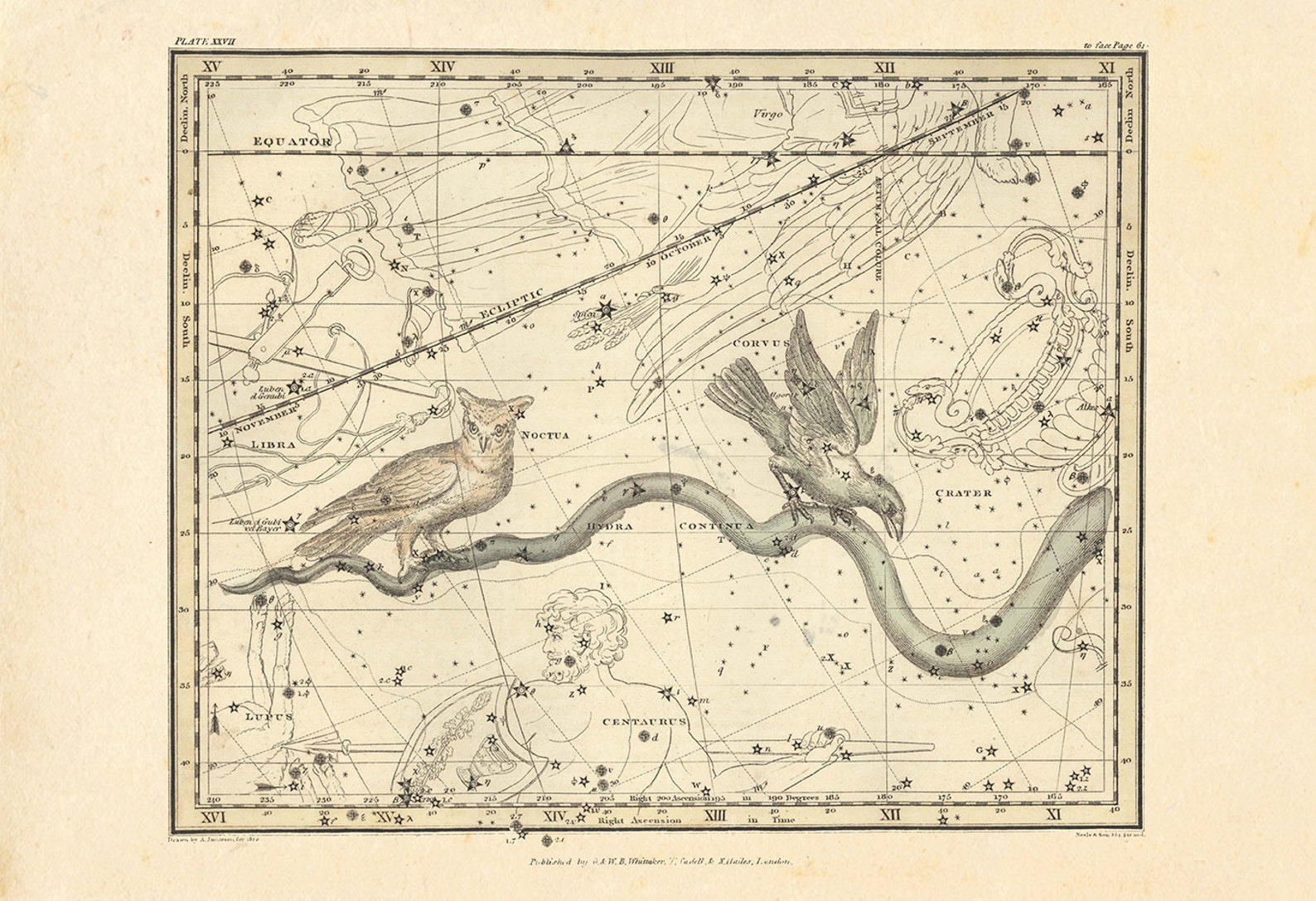 HYDRA STAR MAP Print Zodiac Sign Print Professional | Etsy