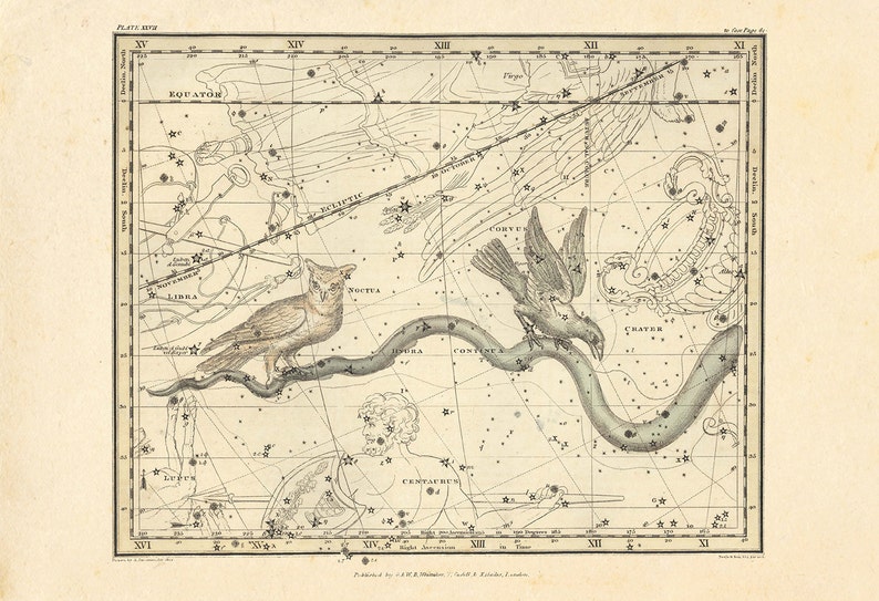 HYDRA STAR MAP Print Zodiac Sign Print Professional | Etsy