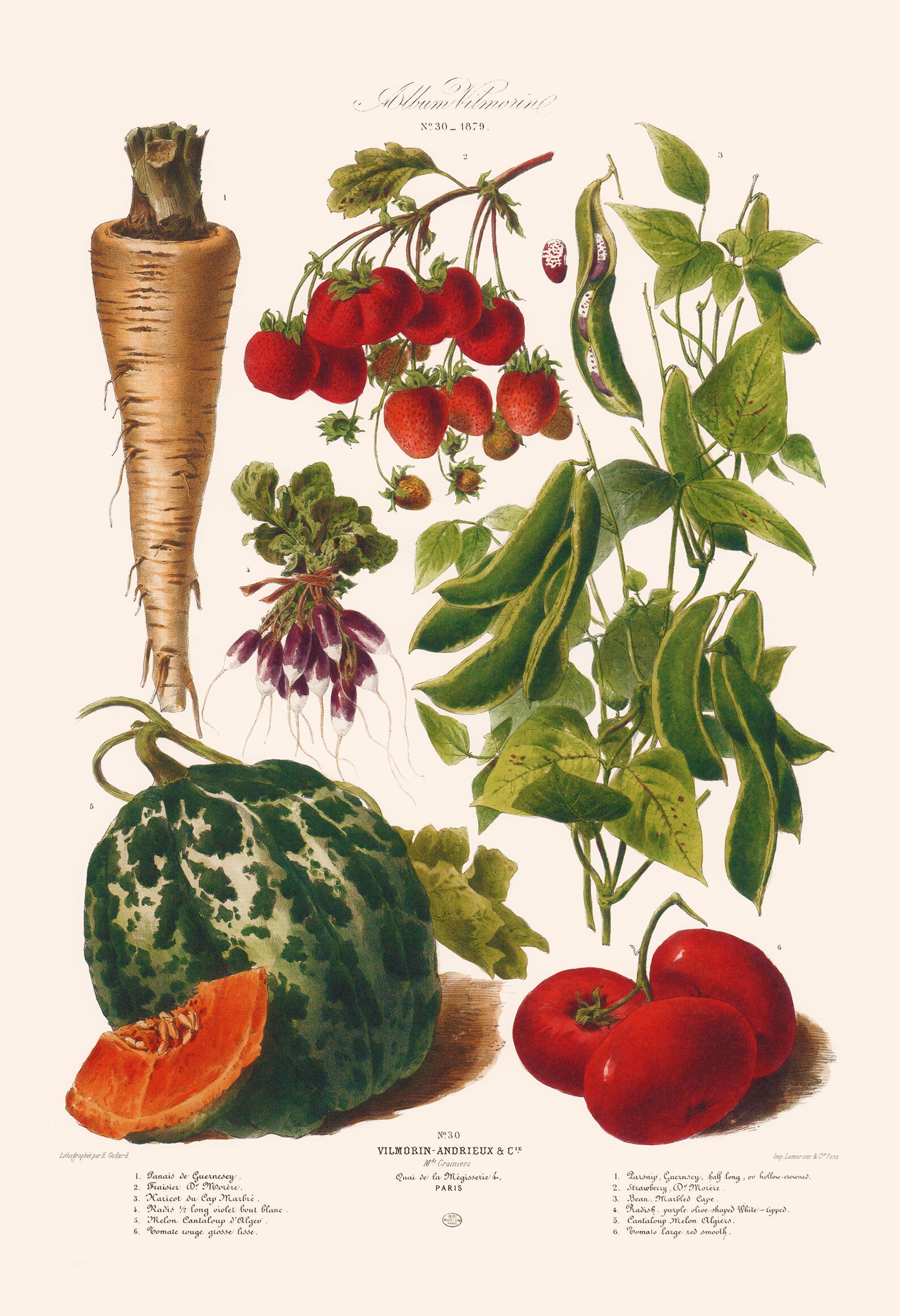 VINTAGE KITCHEN PRINT Food Lovers Gift Kitchen Wall Art - Etsy