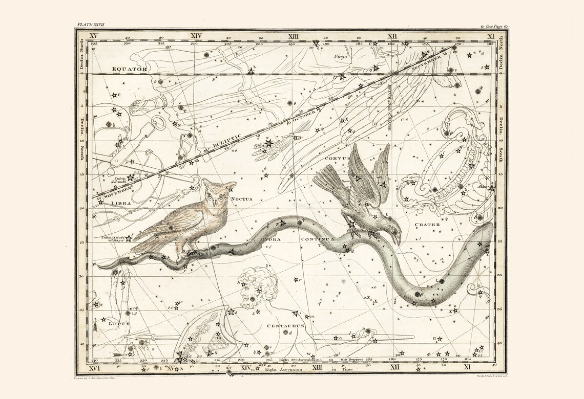 HYDRA STAR MAP Print Zodiac Sign Print Professional - Etsy