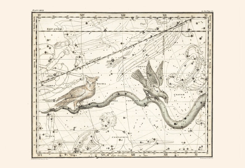 HYDRA STAR MAP Print Zodiac Sign Print Professional - Etsy