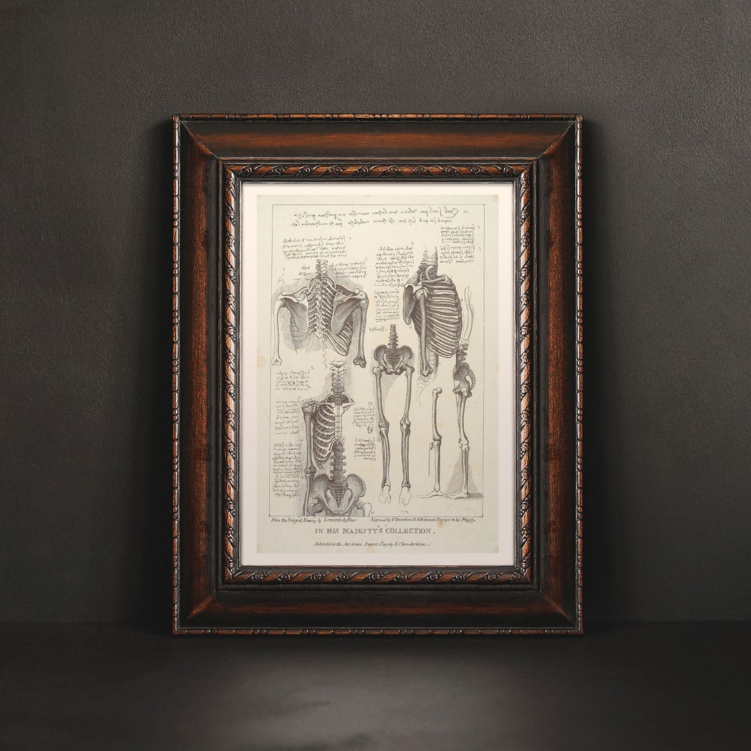 RENAISSANCE ANATOMY SKETCH, Dark Victorian Bathroom Art, Antique ...