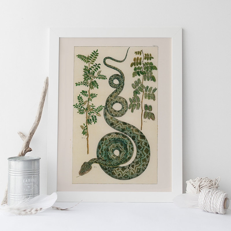 Snake Art Print - Etsy