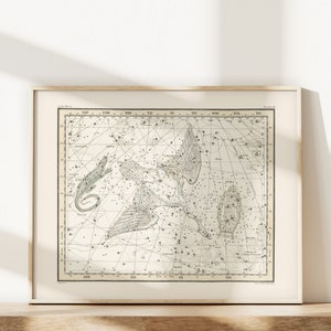 CYGNUS Star Map Print, Zodiac Sign Print, Professional Reproduction ...