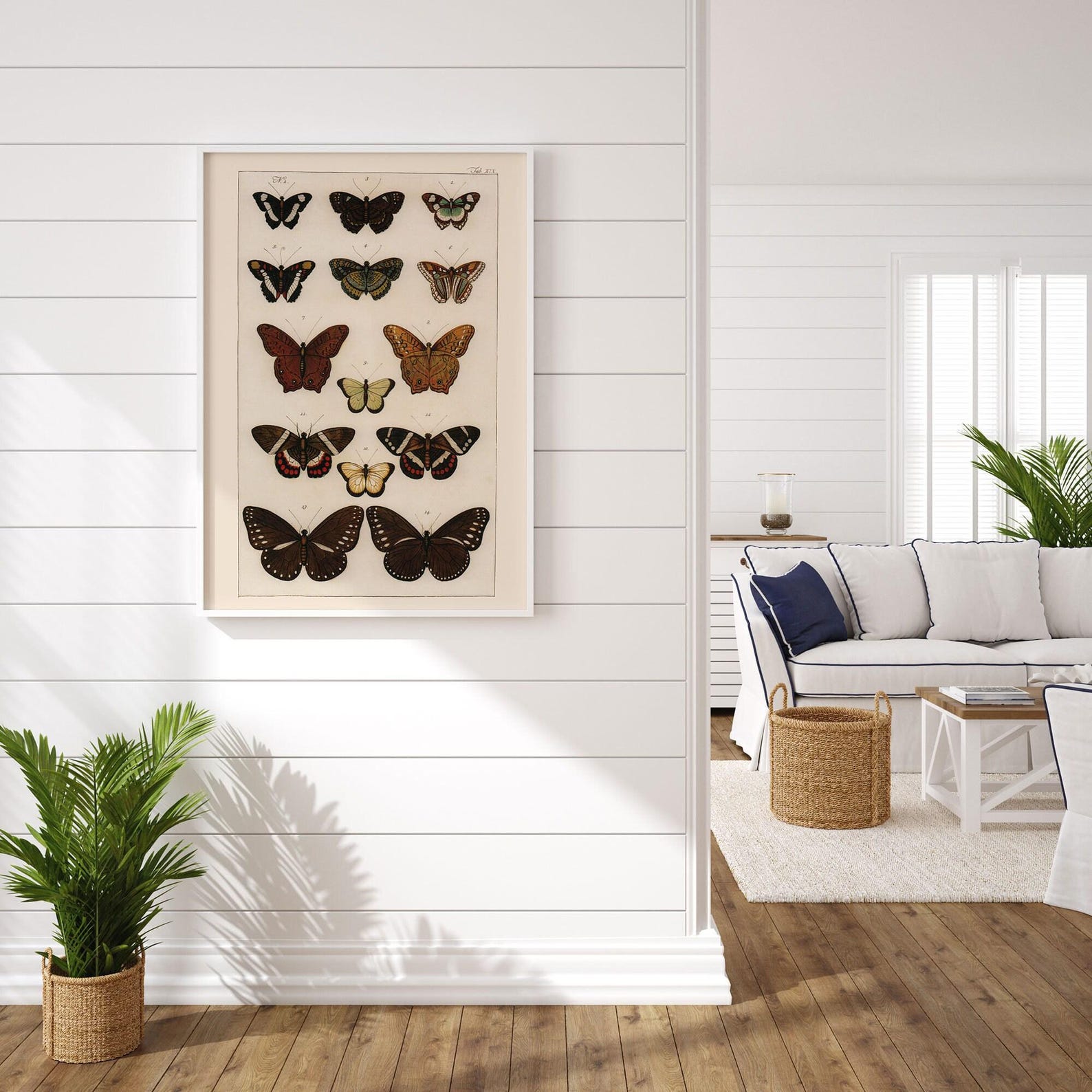 BUTTERFLY POSTER, Natural Home Decor Wall Art, Antique Butterfly ...