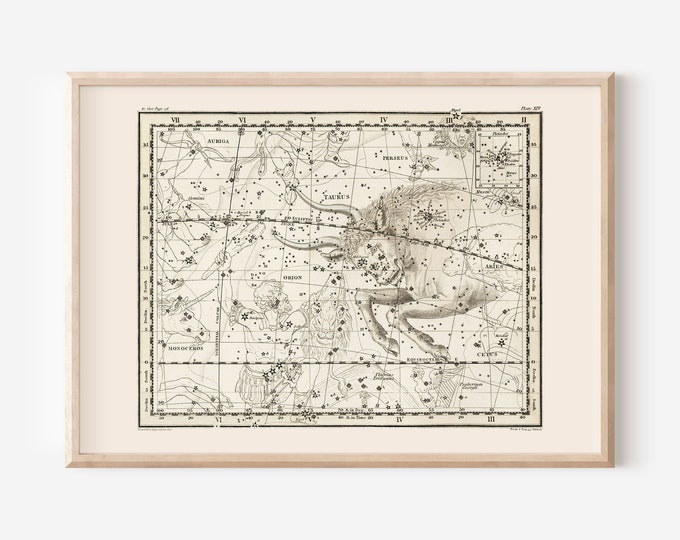 ANTIQUE ZODIAC ART Print Vintage Astrology Print - Etsy