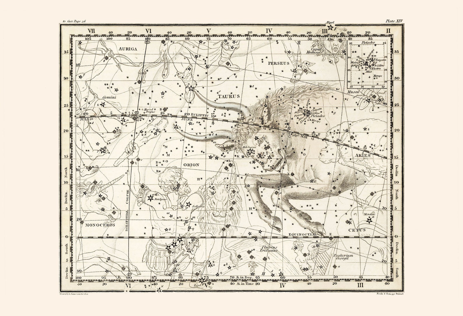 TAURUS STAR MAP Print Zodiac Sign Print Professional - Etsy