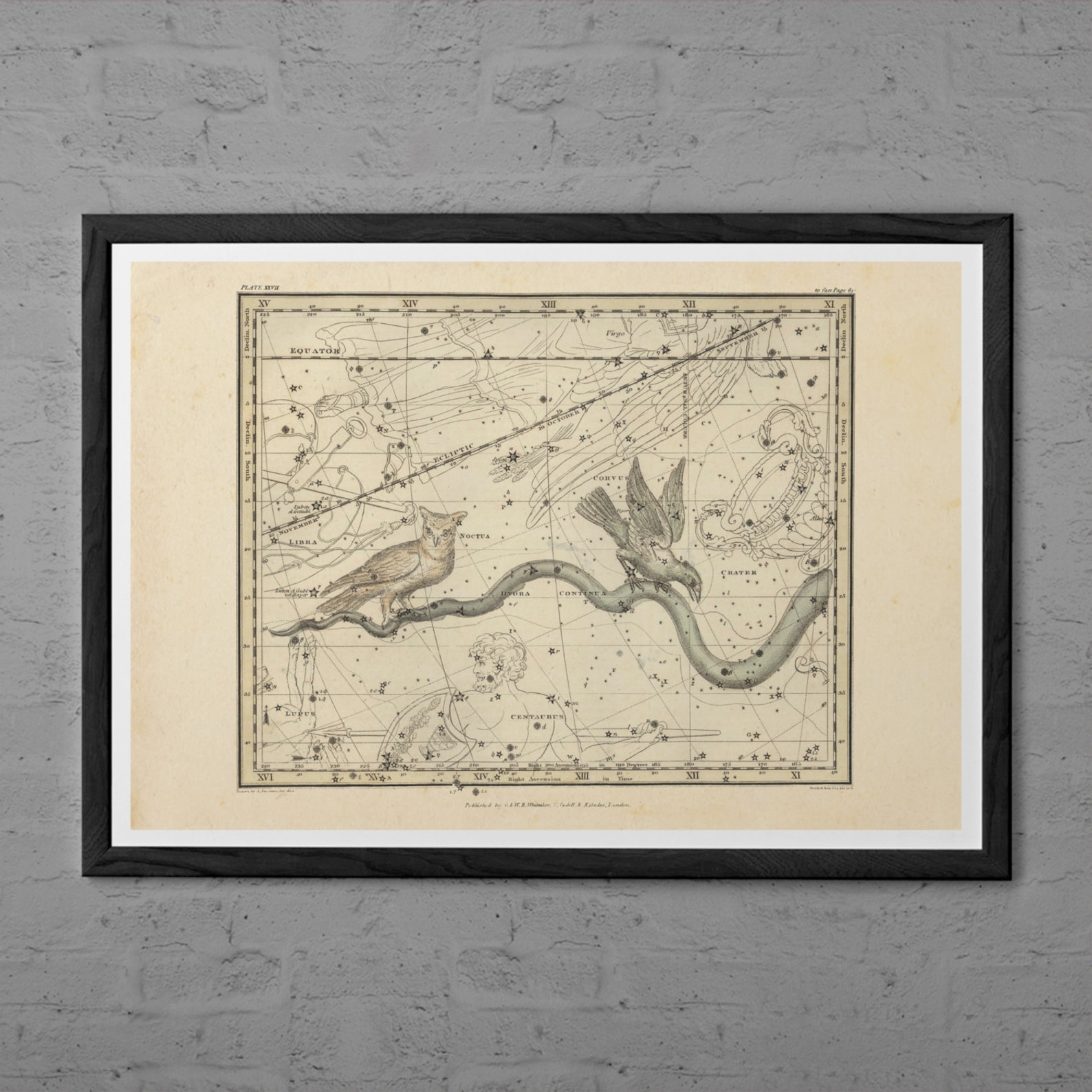 HYDRA STAR MAP Print Zodiac Sign Print Professional | Etsy