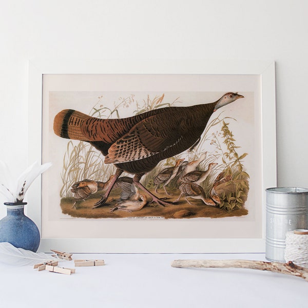 Wild Turkey Poster - Etsy