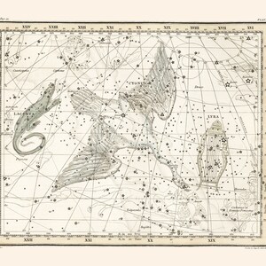 CYGNUS Star Map Print, Zodiac Sign Print, Professional Reproduction ...