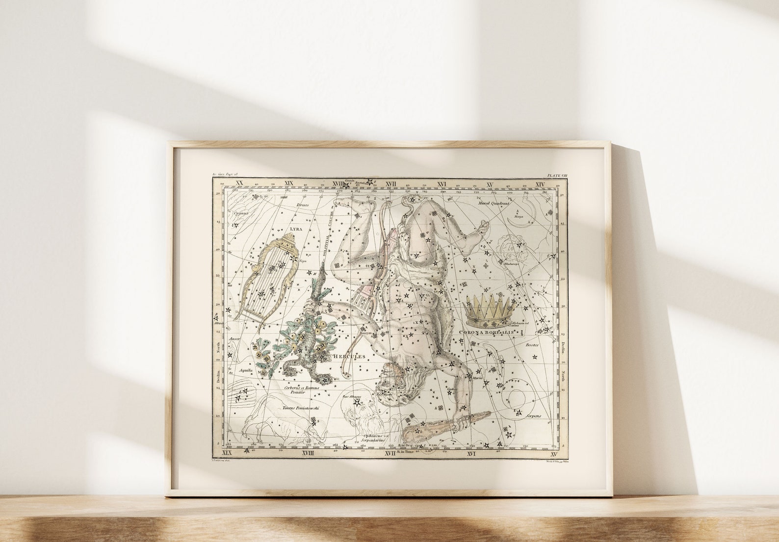 Antique ZODIAC Print HERCULES Star Map Print Professional - Etsy
